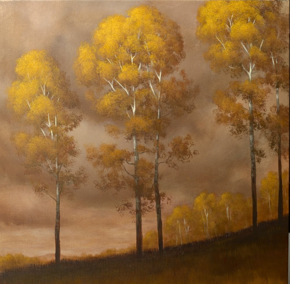 Peggy Gonzalez Framing - Late Autumn Light | Tim Gagnon Studio