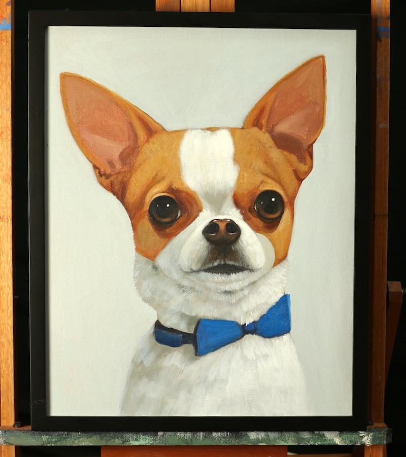 Painting A Pet Portrait - MILES - Acrylic Painting Lesson on DVD | Tim ...